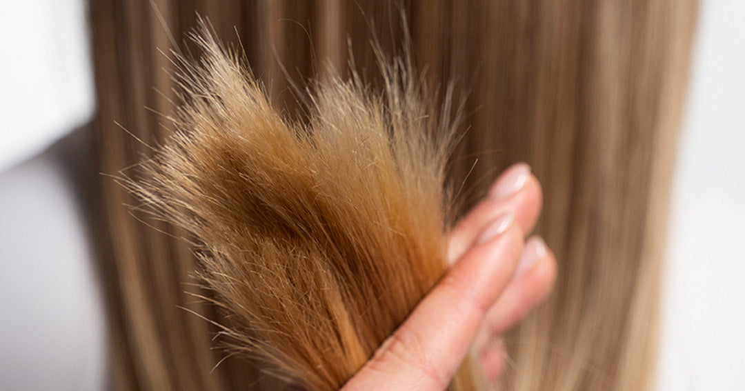 Was hilft gegen Spliss? – Treu-Refill